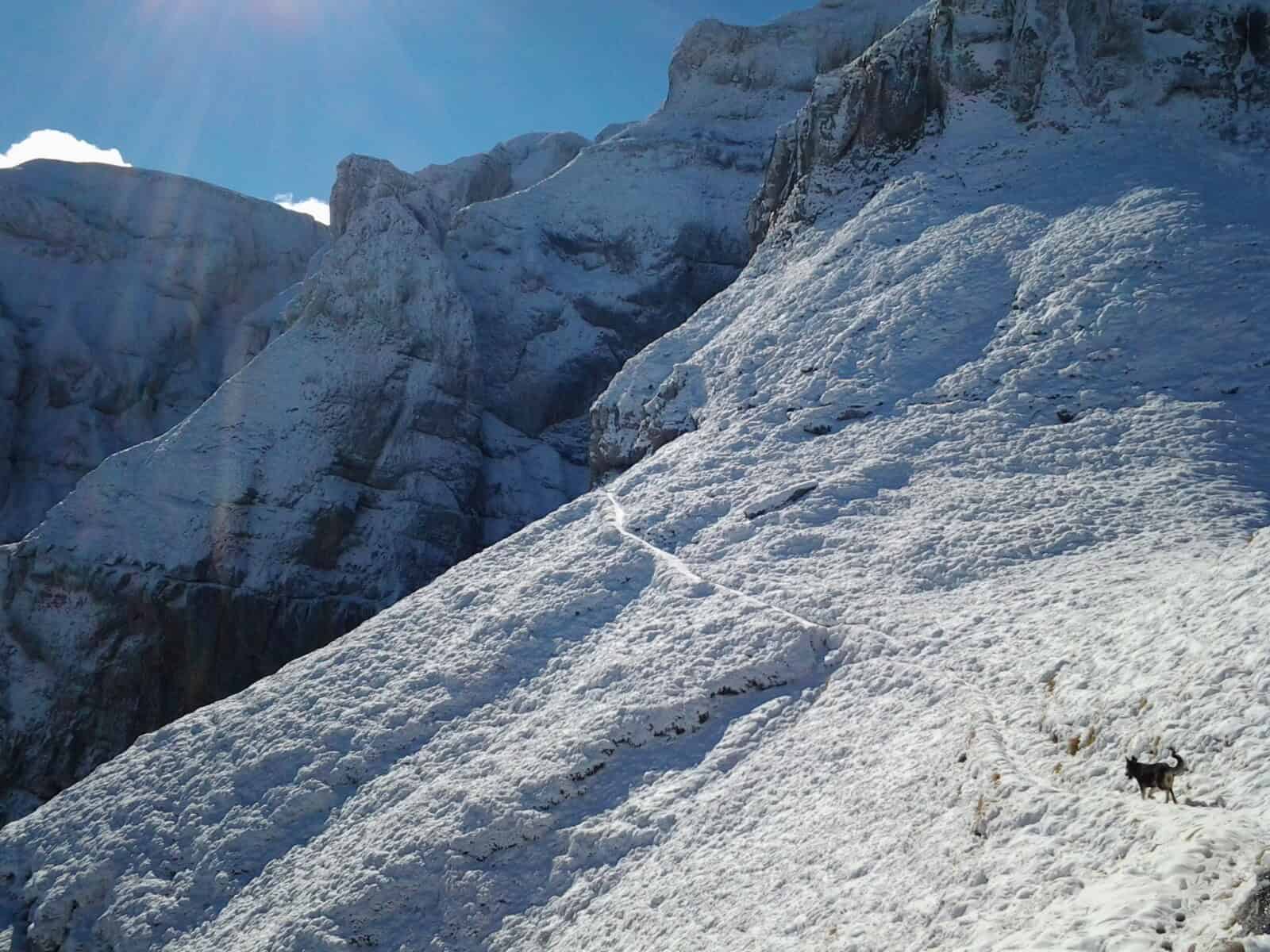 First snow in the Bucegi Mountains | Pure Romania