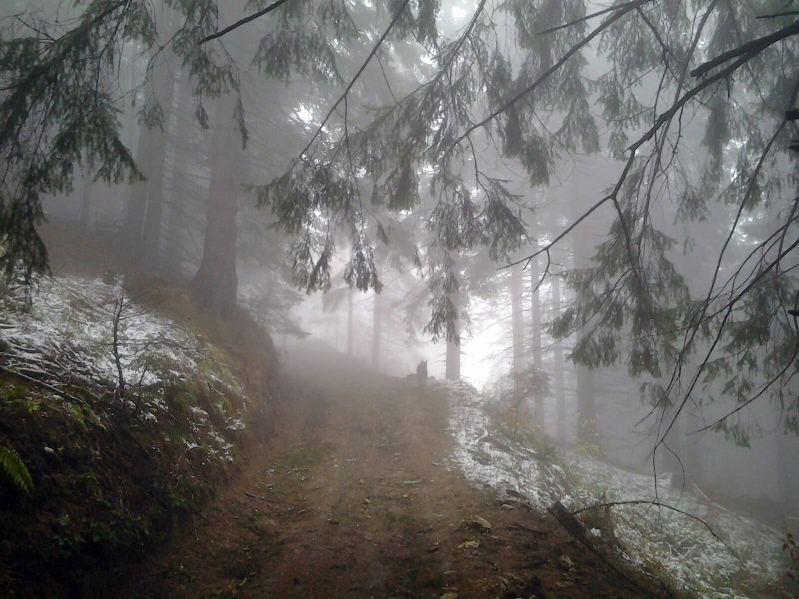 First snow in the Bucegi Mountains | Pure Romania